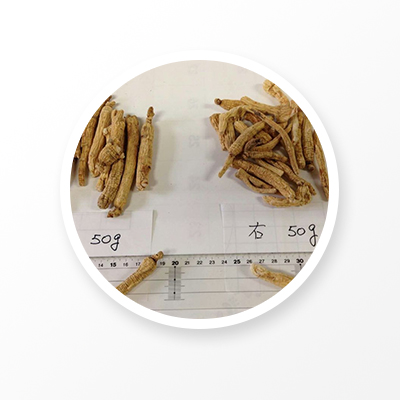 China pure asian white ginseng root manufacturers, pure asian white ...